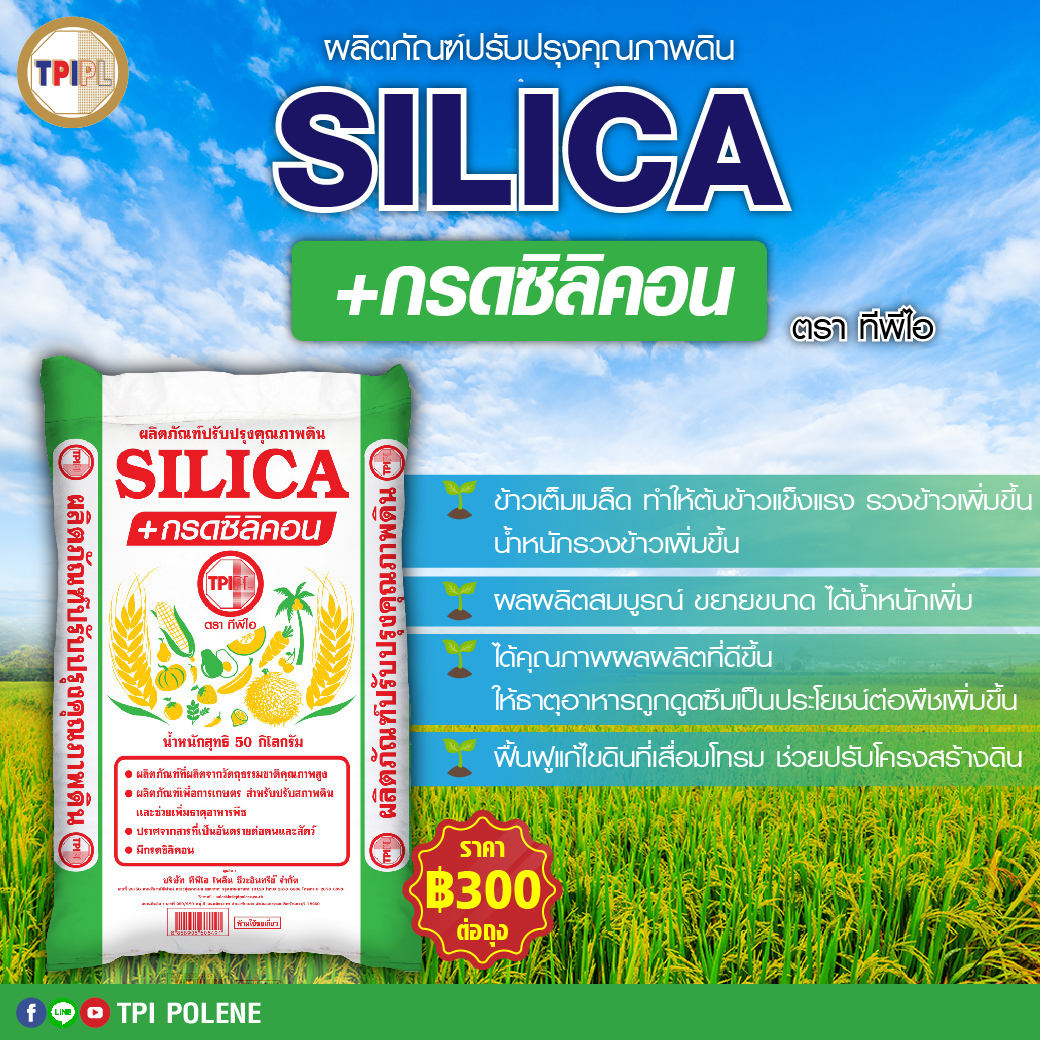 SILICA+กรดซิลิคอน