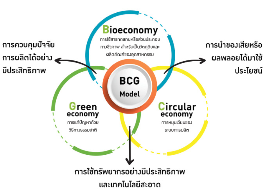 การบริหารจัดการด้านสิ่งแวดล้อม